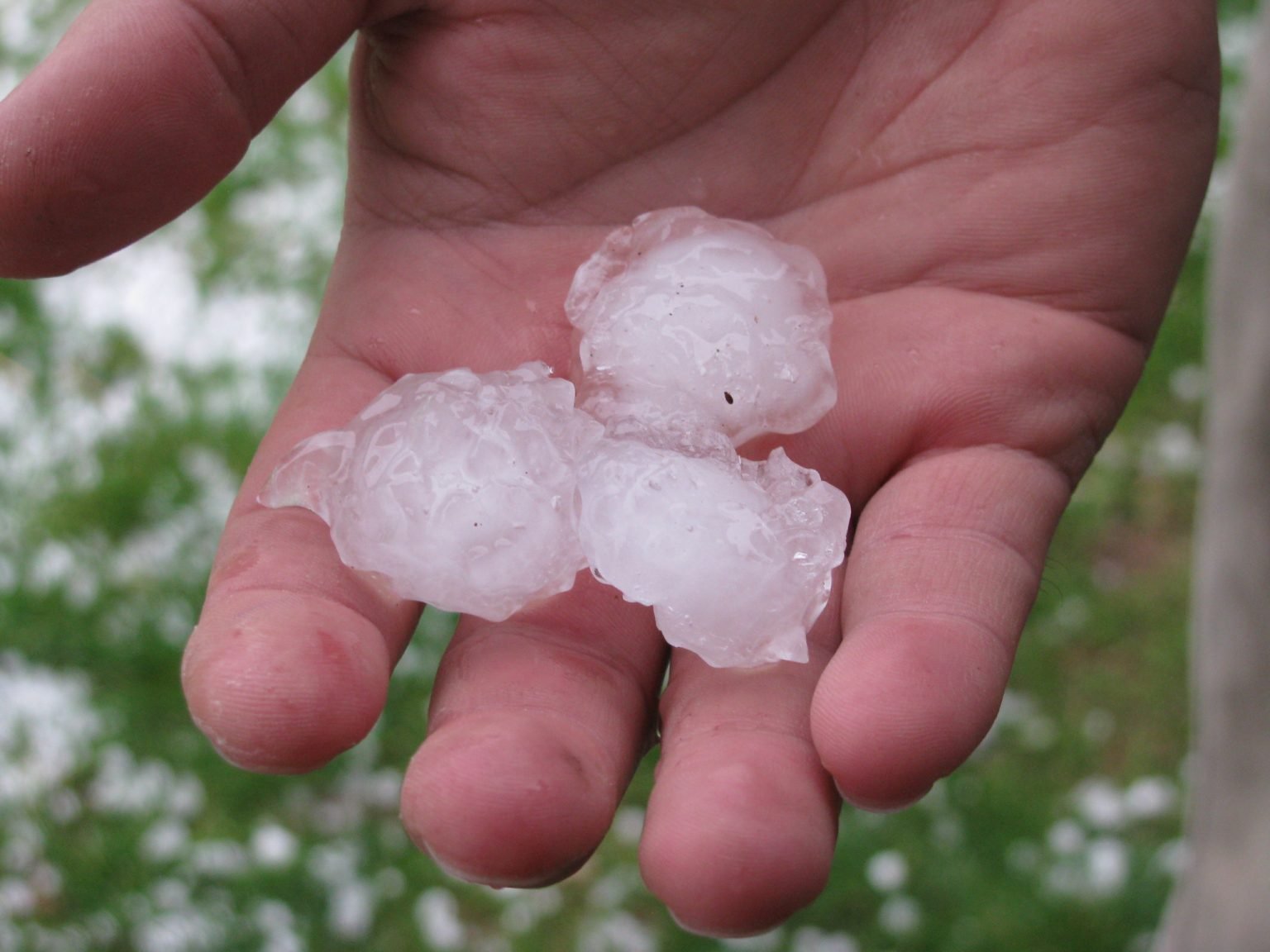 How to Tell the Difference Between Hail Damage and Normal Wear – Stay ...